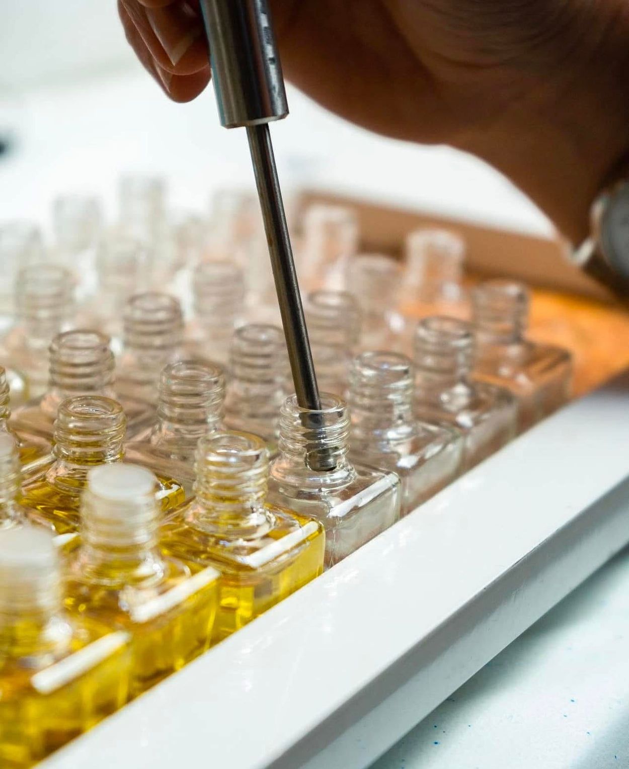 Estercarperfume.ca